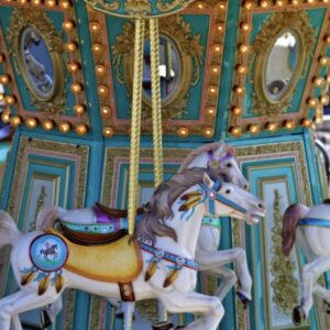 Explore the Park - Adventure Park USA